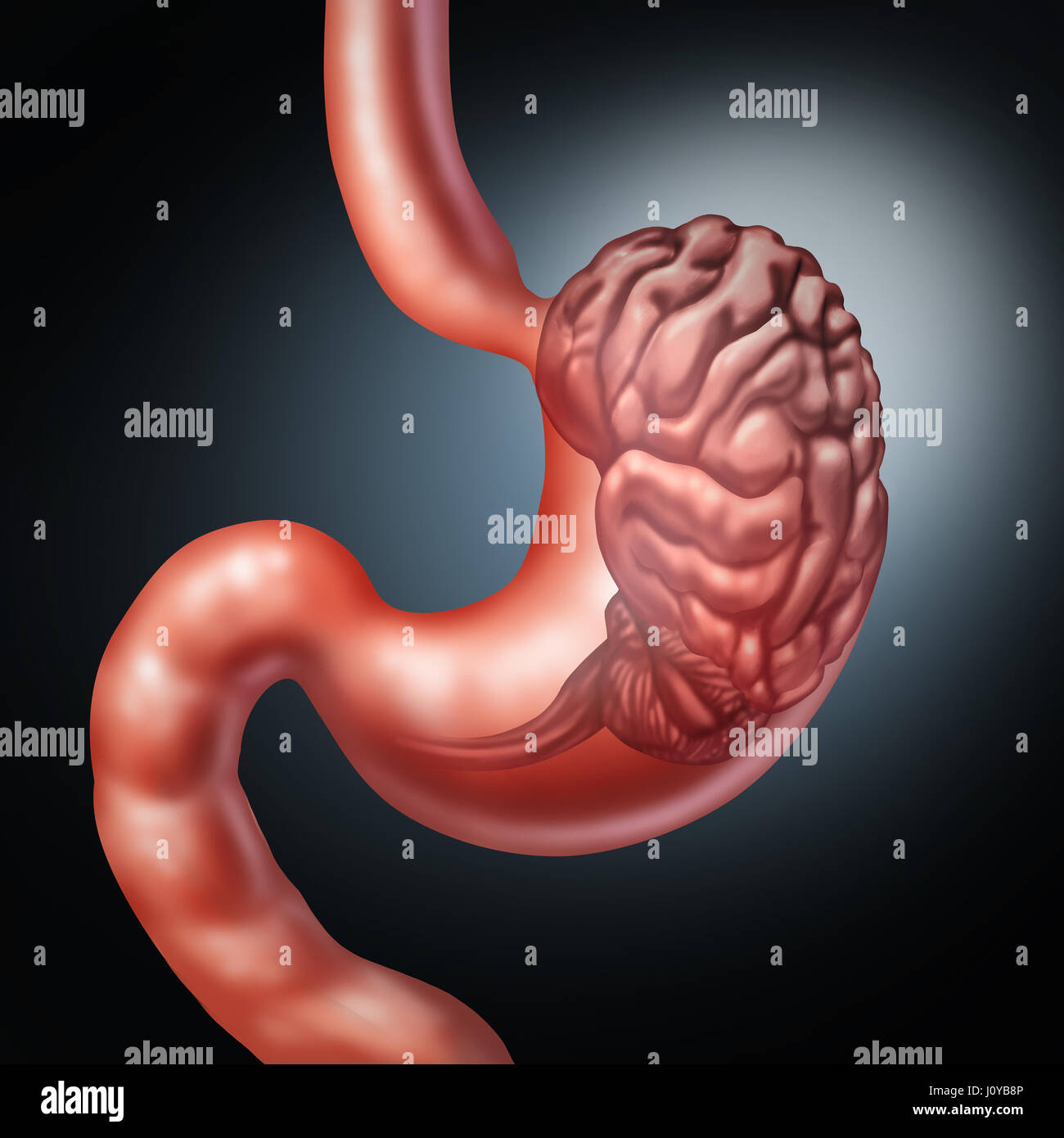 Stomach brain and enteric nervous system symbol or gut feeling concept ...