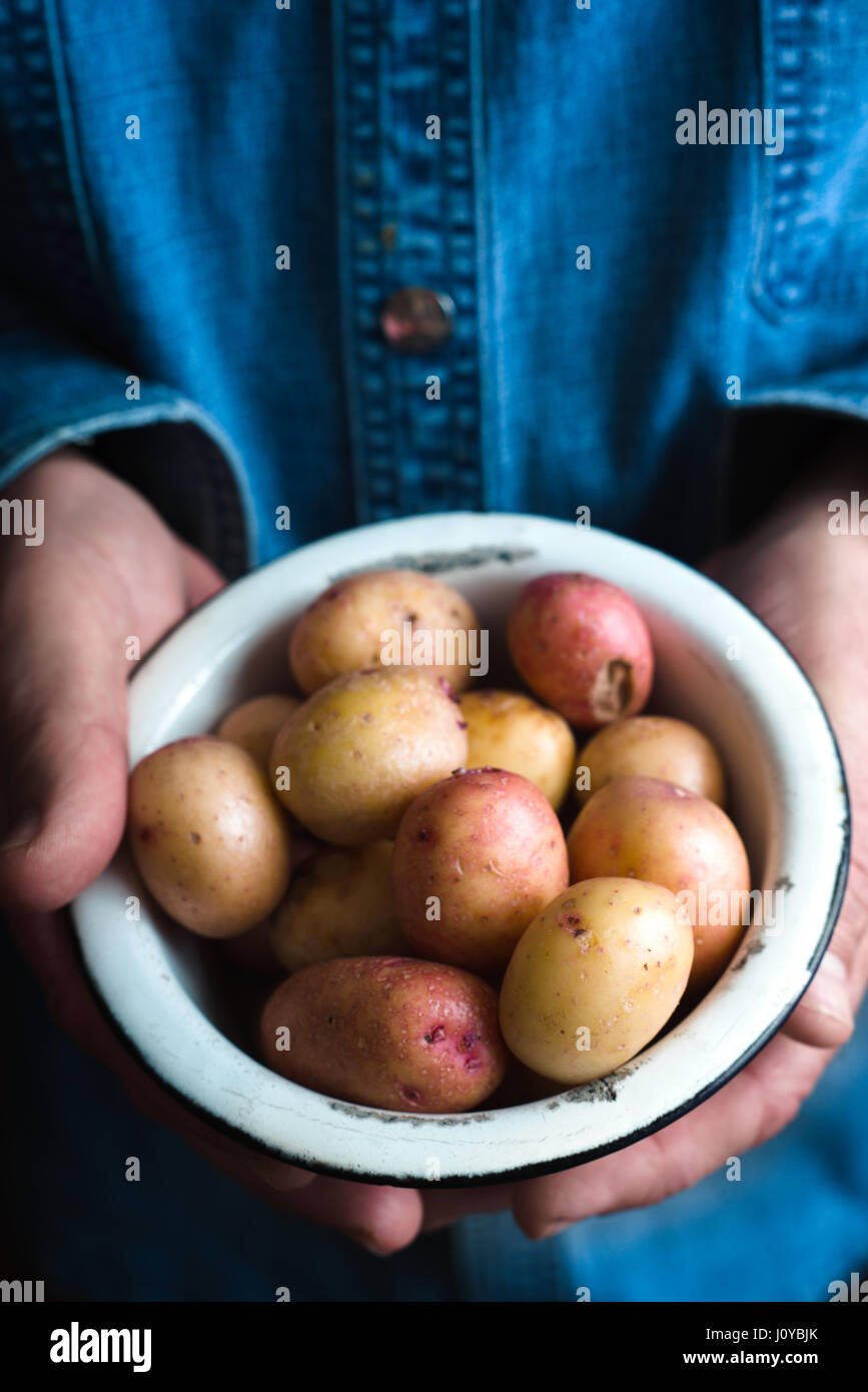 Potato harvest hi-res stock photography and images - Alamy