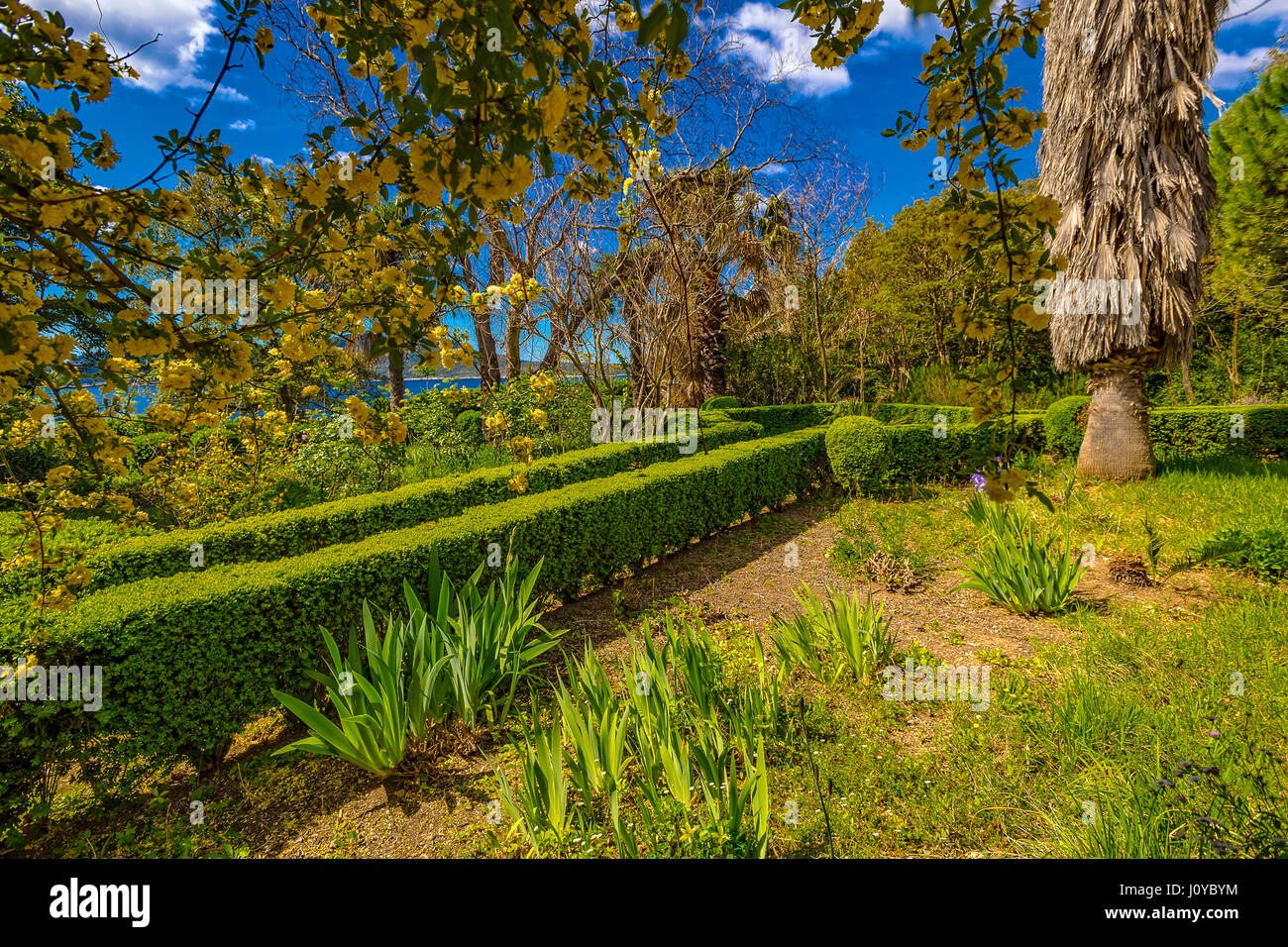 Croatia Dalmatia Trsteno Arboretum Stock Photo - Alamy