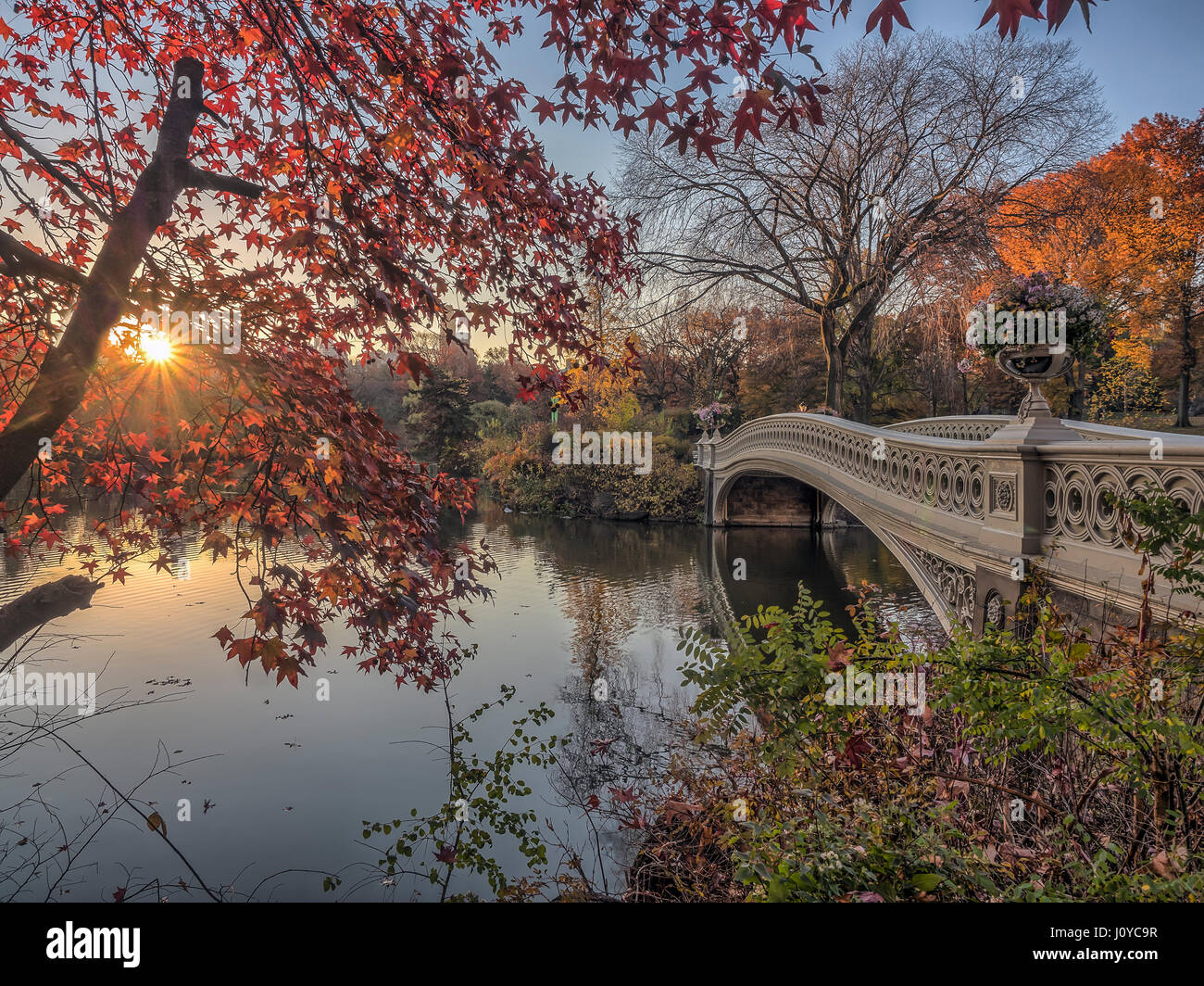 The Bow Bridge is a cast iron bridge located in Central Park, New York ...