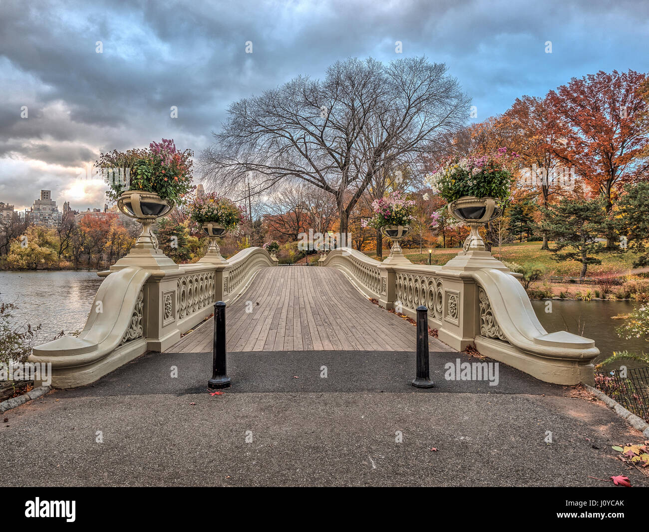 The Bow Bridge is a cast iron bridge located in Central Park, New York ...