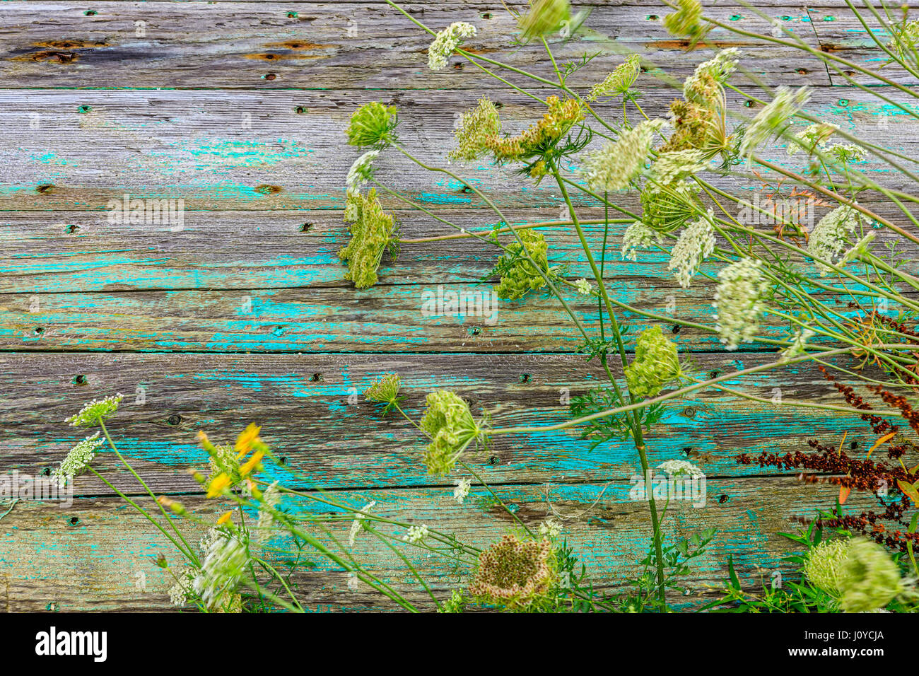 Rustic row boat in Lunenburg Nova Scotia, Canada Stock Photo - Alamy