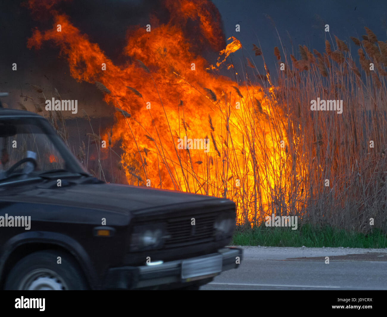 Car smoke flare hi-res stock photography and images - Alamy