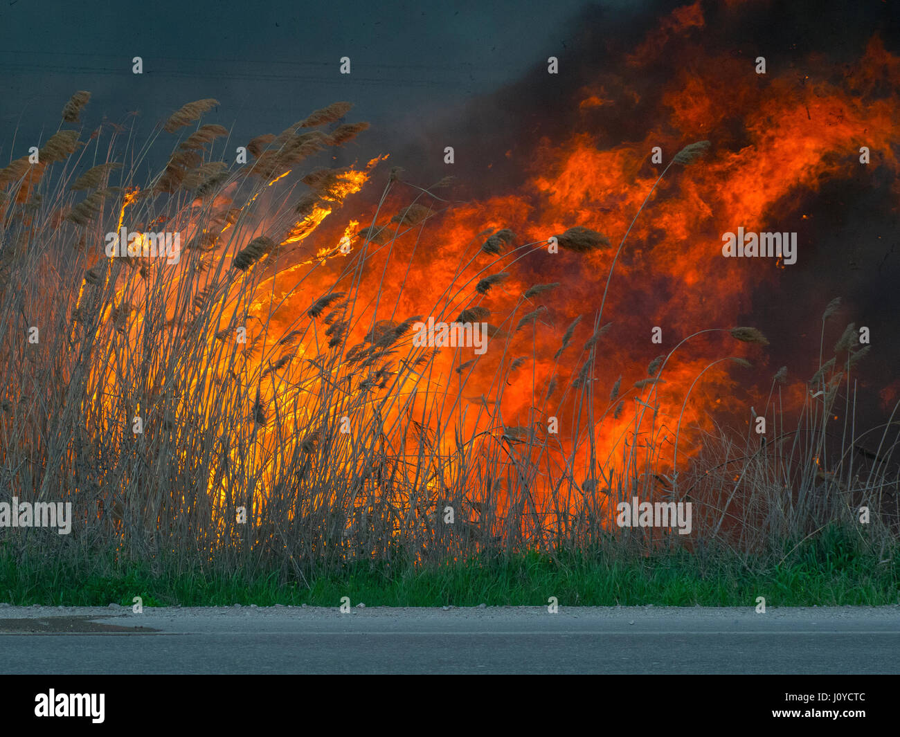 Open air fire at night hi-res stock photography and images - Alamy
