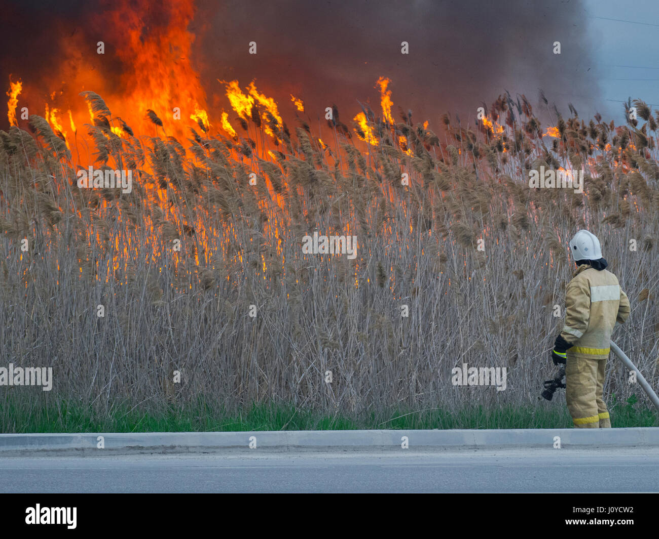 Firefighter looks and thinks how to extinguish the big fire Stock Photo ...
