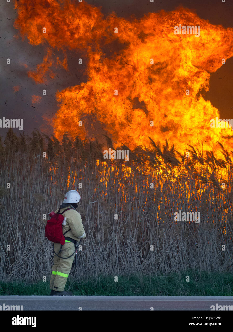 The fireman is looking at a huge fire Stock Photo - Alamy