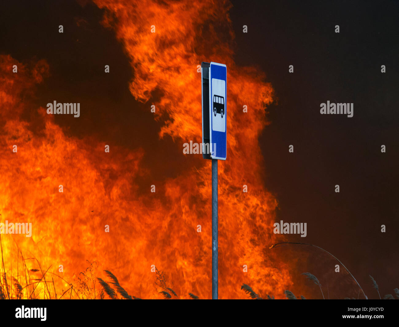 The sign of the bus stop and the flame of fire behind it Stock Photo ...