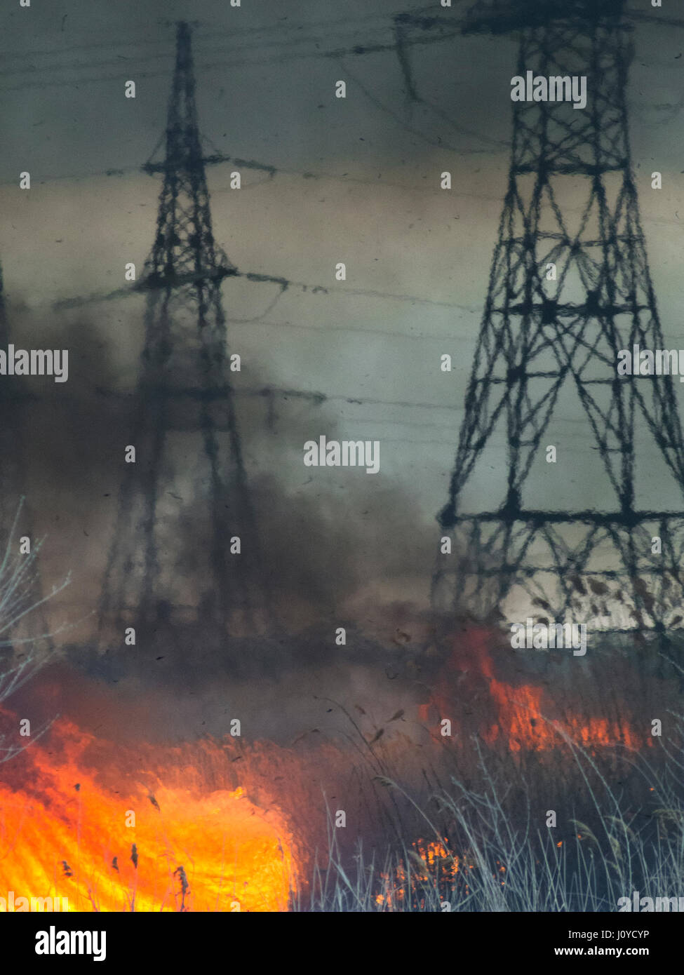 The fire in the field near high-voltage poles Stock Photo - Alamy