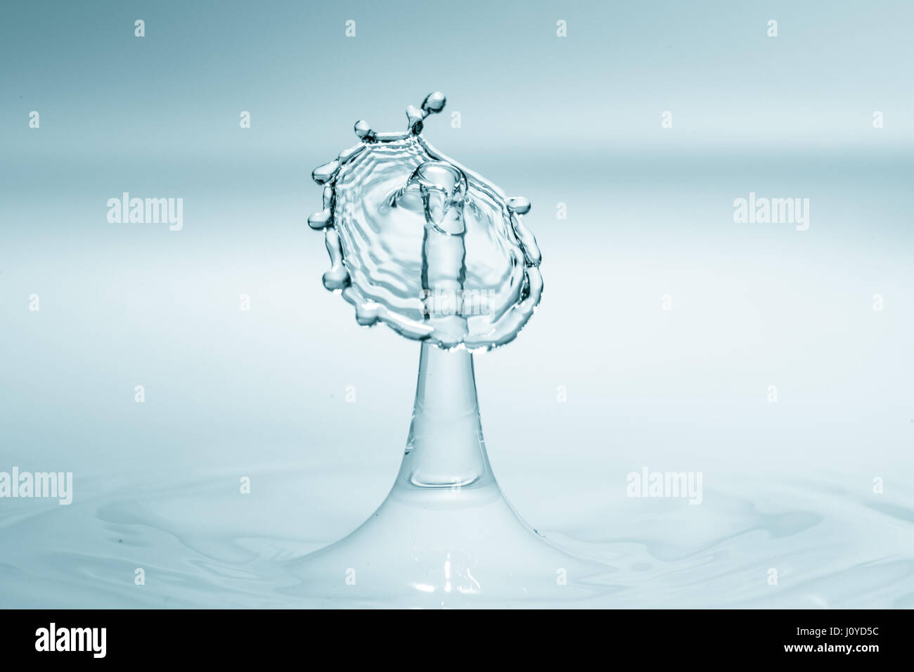 Water splash isolated on blue background. Water drop. Collision of two ...