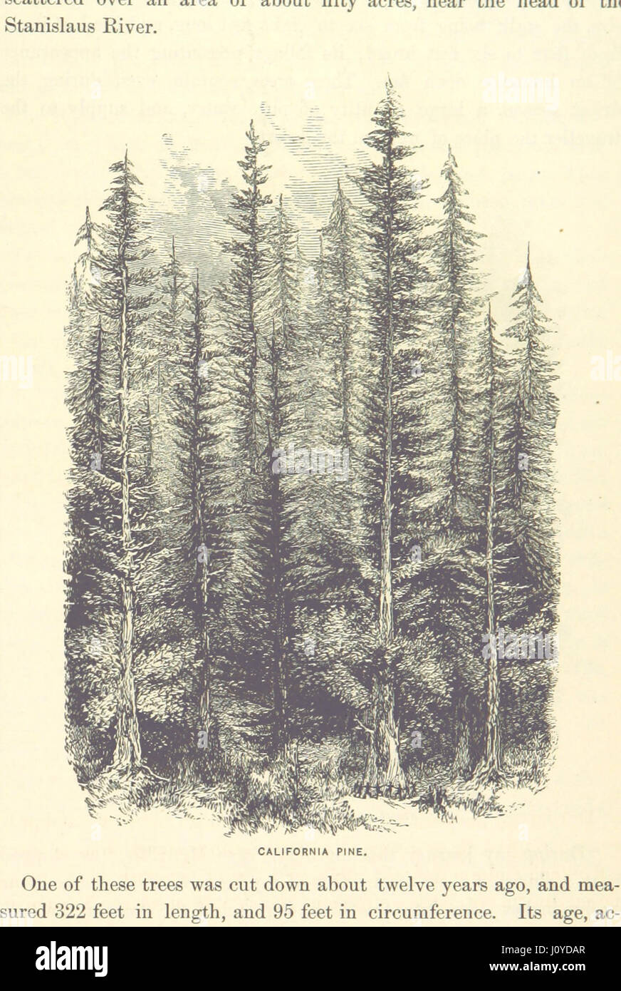 This work on physical geography explores the natural features and ...