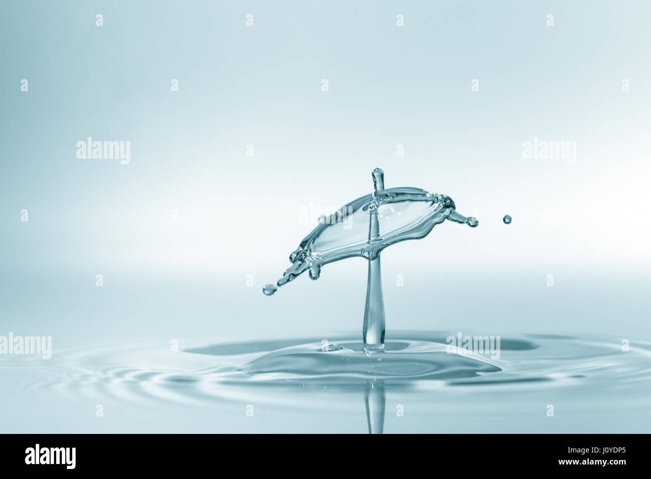 Water splash isolated on blue background. Water drop. Collision of two ...