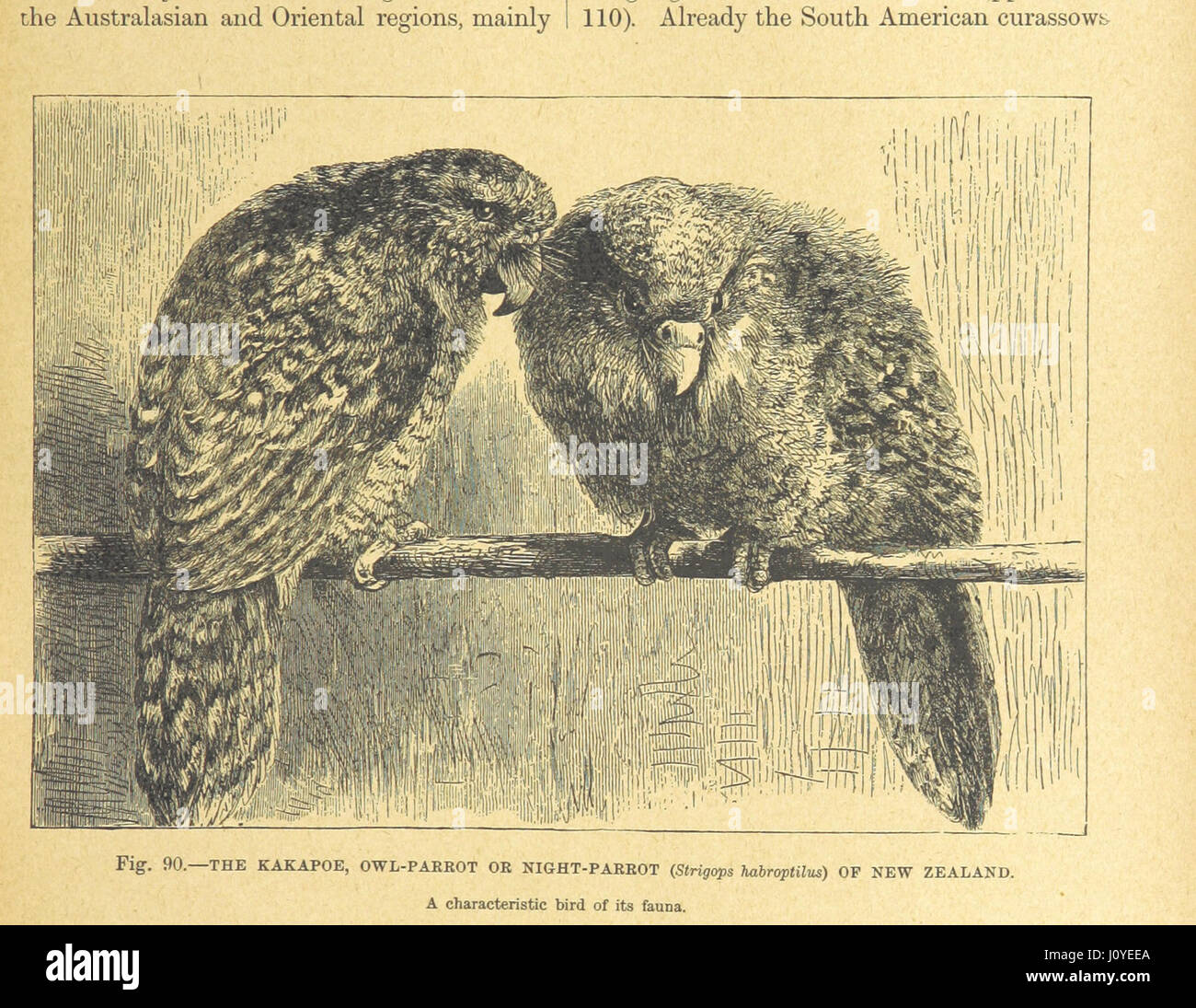 This image from 'Our Earth and its Story' showcases physical geography ...