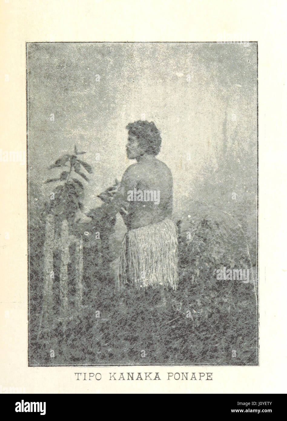 'Estudios sobre Carolinas' is a detailed study of Ponape Island ...