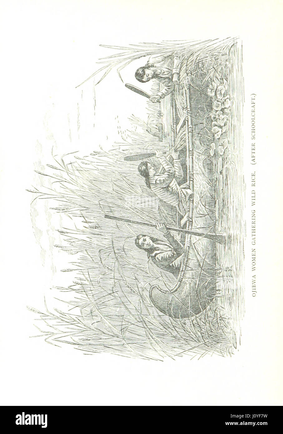 'American Indians' provides a comprehensive account of the Native ...