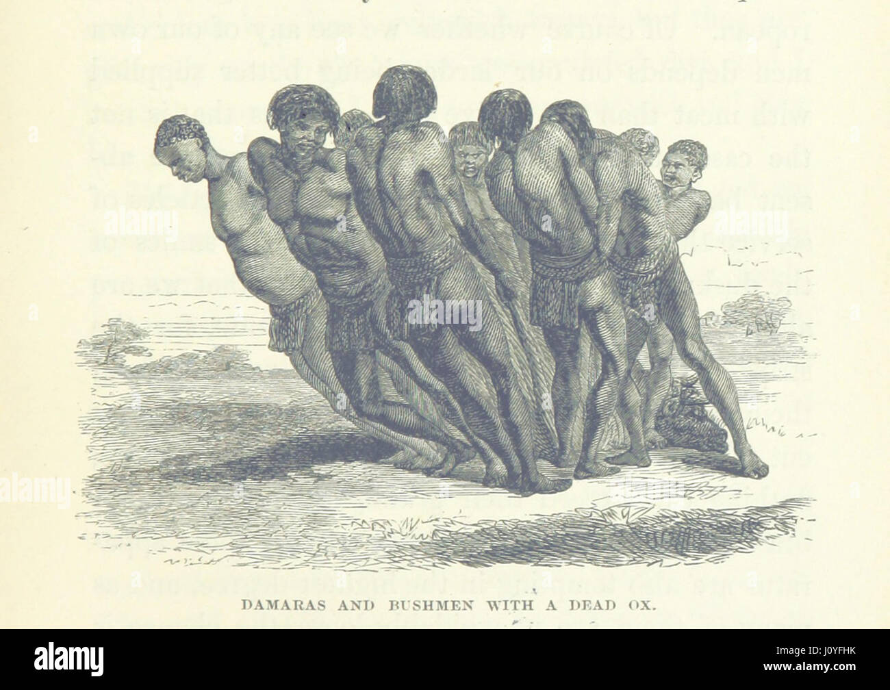 Explorations in South-West Africa recounts a journey from Walvisch Bay ...