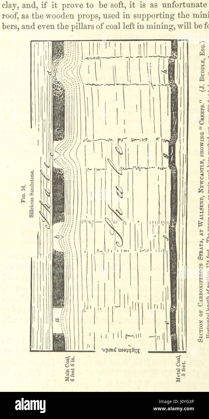 A detailed examination of the coal regions of America, including ...