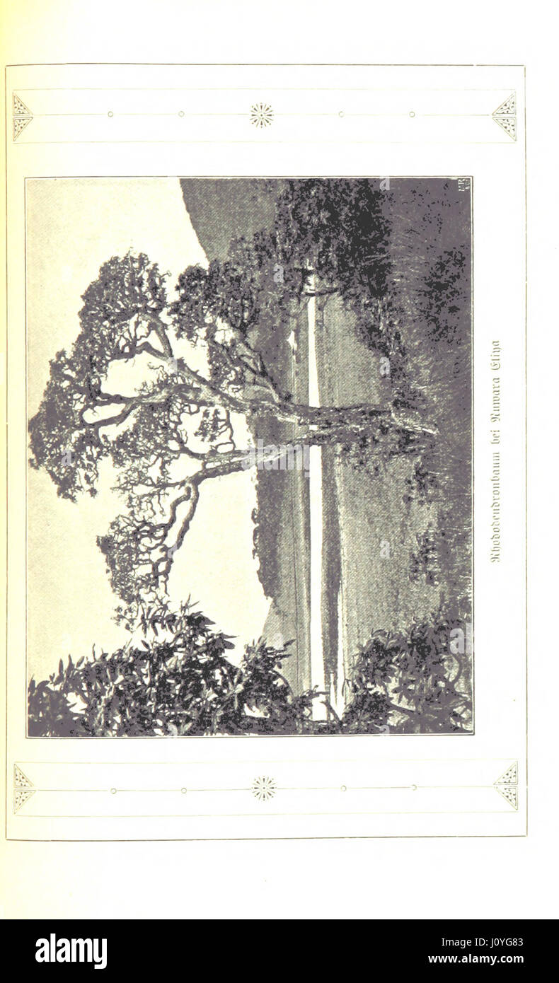 A detailed work on Ceylon (now Sri Lanka), featuring 39 images and a ...