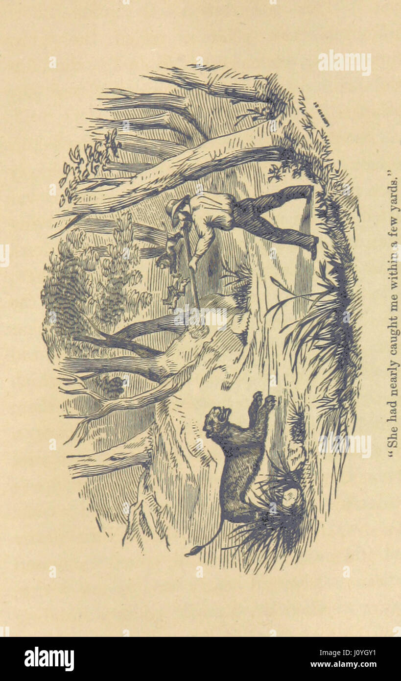 This book documents an adventurous journey to Lake Ngami in South ...