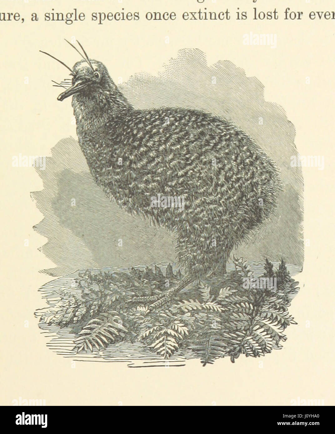 Antipodes map hi-res stock photography and images - Alamy