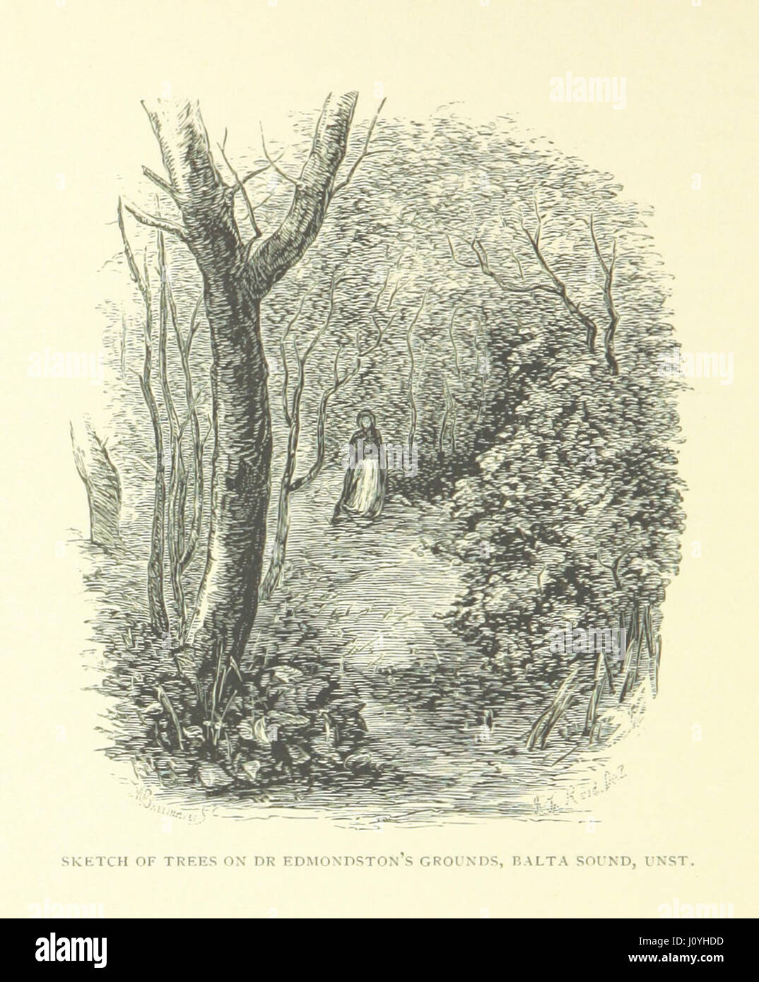 Art Rambles in Shetland Stock Photo - Alamy