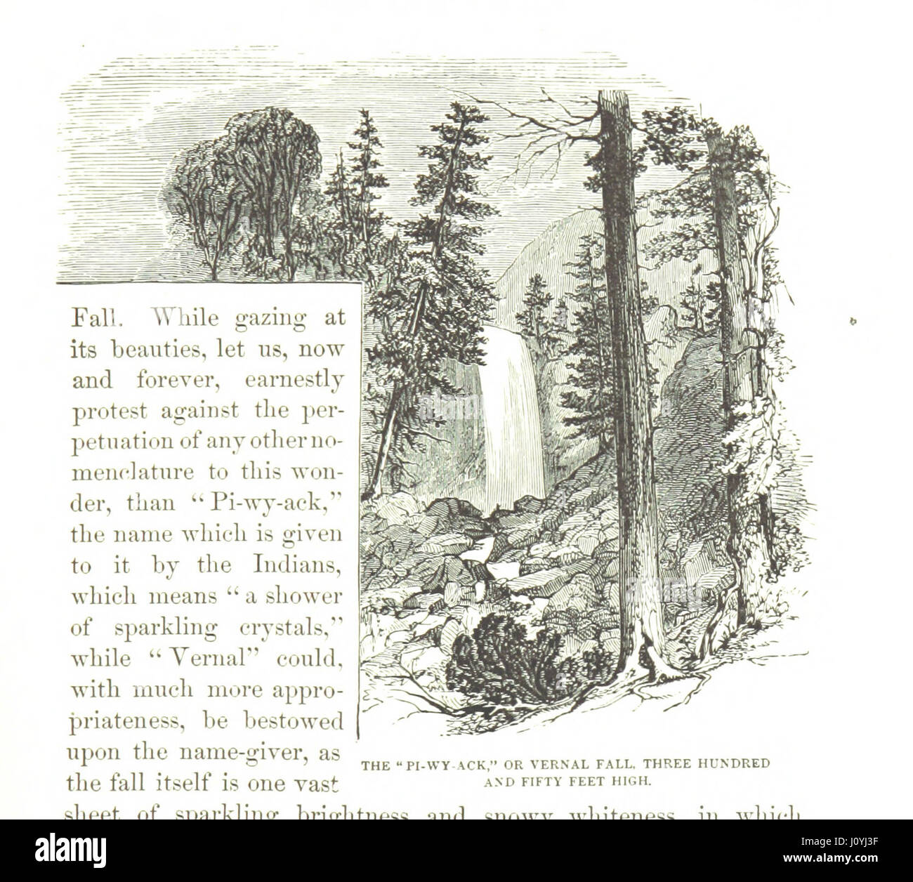 'Scenes of Wonder and Curiosity in California' showcases the unique ...
