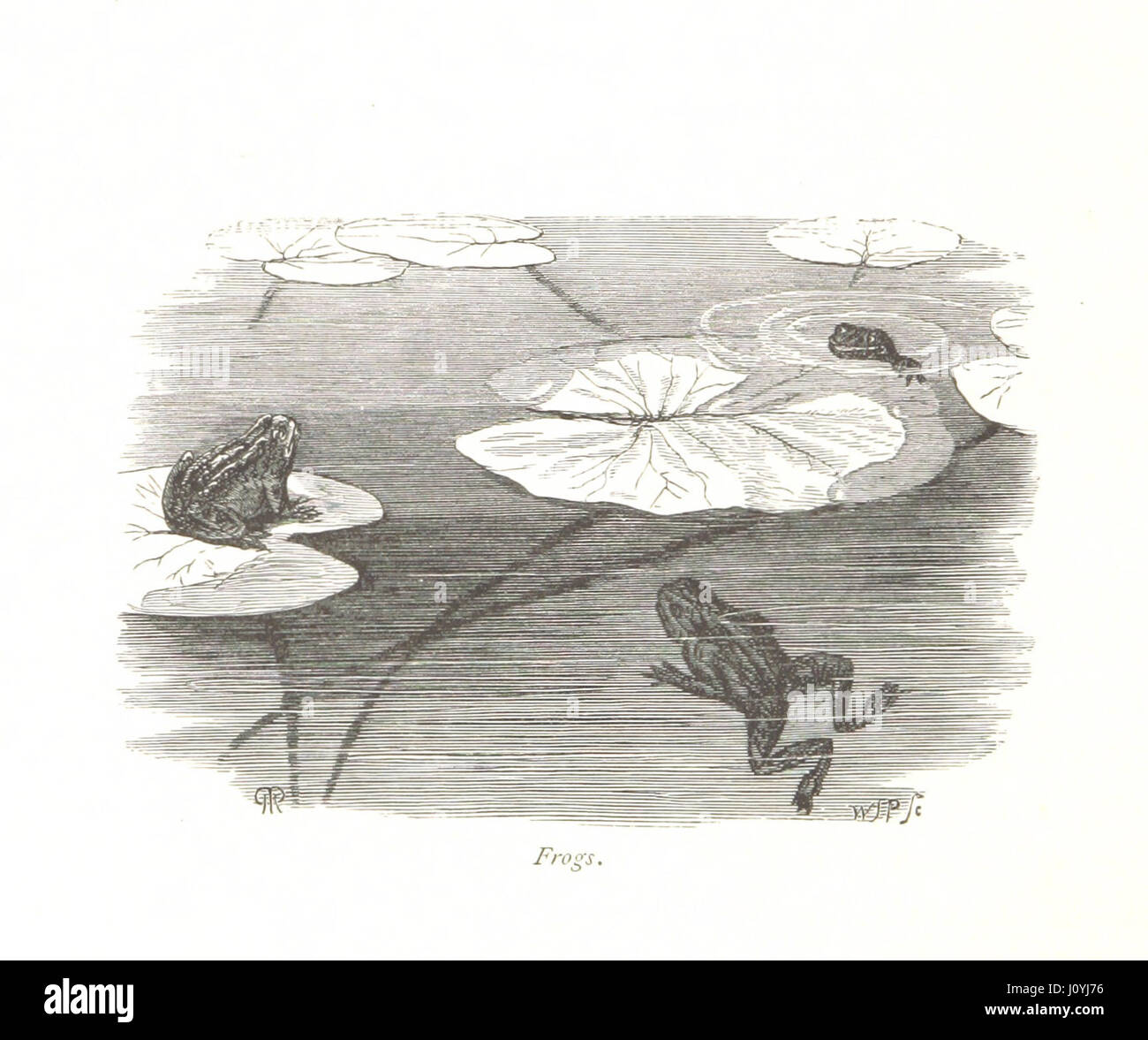 This image from 'Life on the Upper Thames' provides a snapshot of life ...