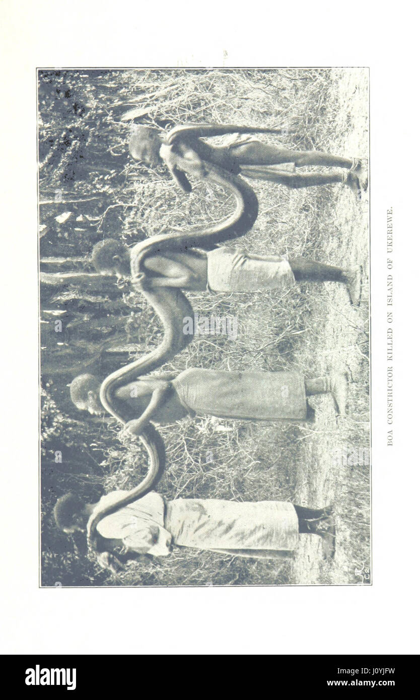 Indigenous cannibal cannibalism in hi-res stock photography and images ...