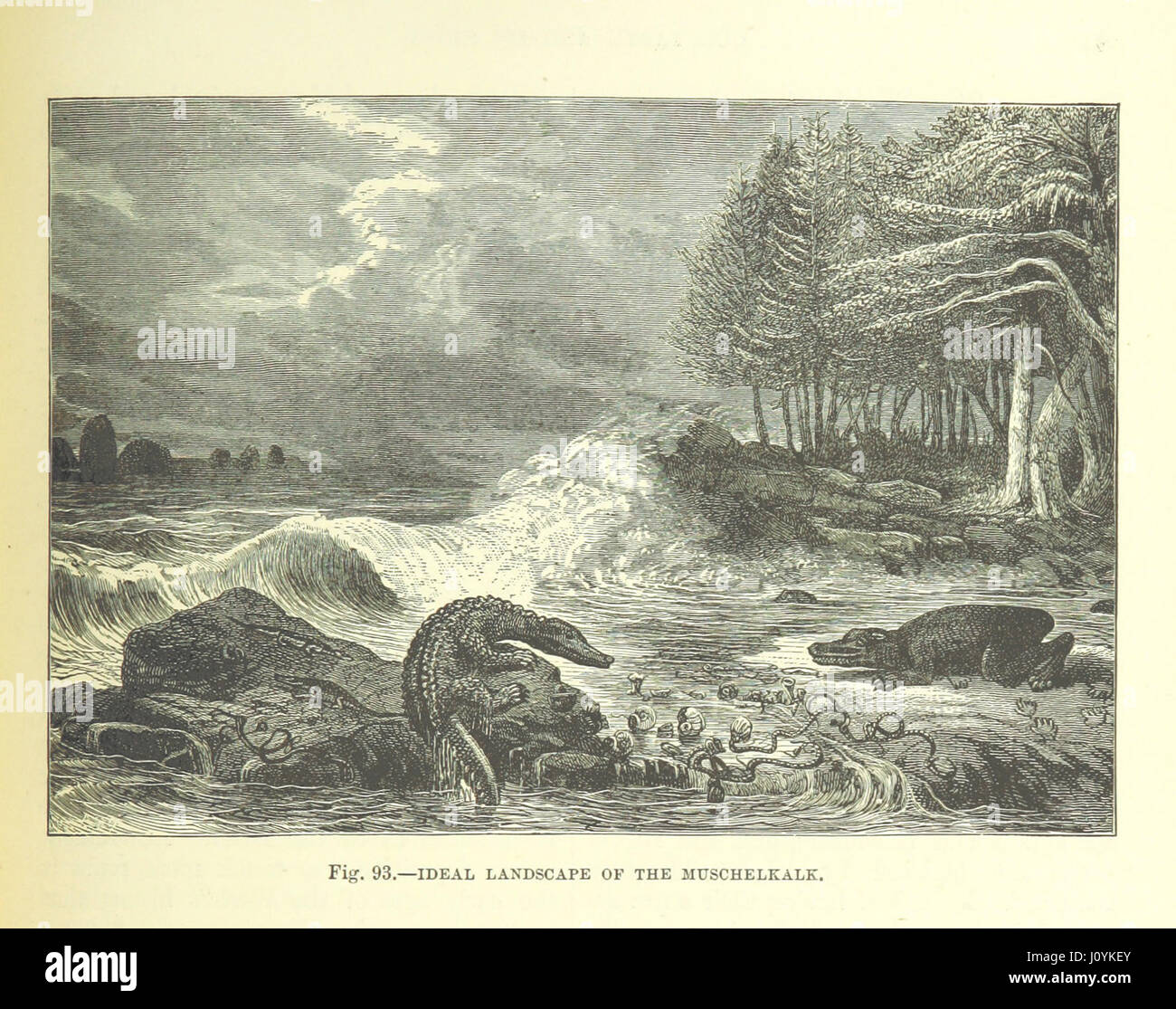 This work, edited by R. Brown, offers an accessible exploration of ...