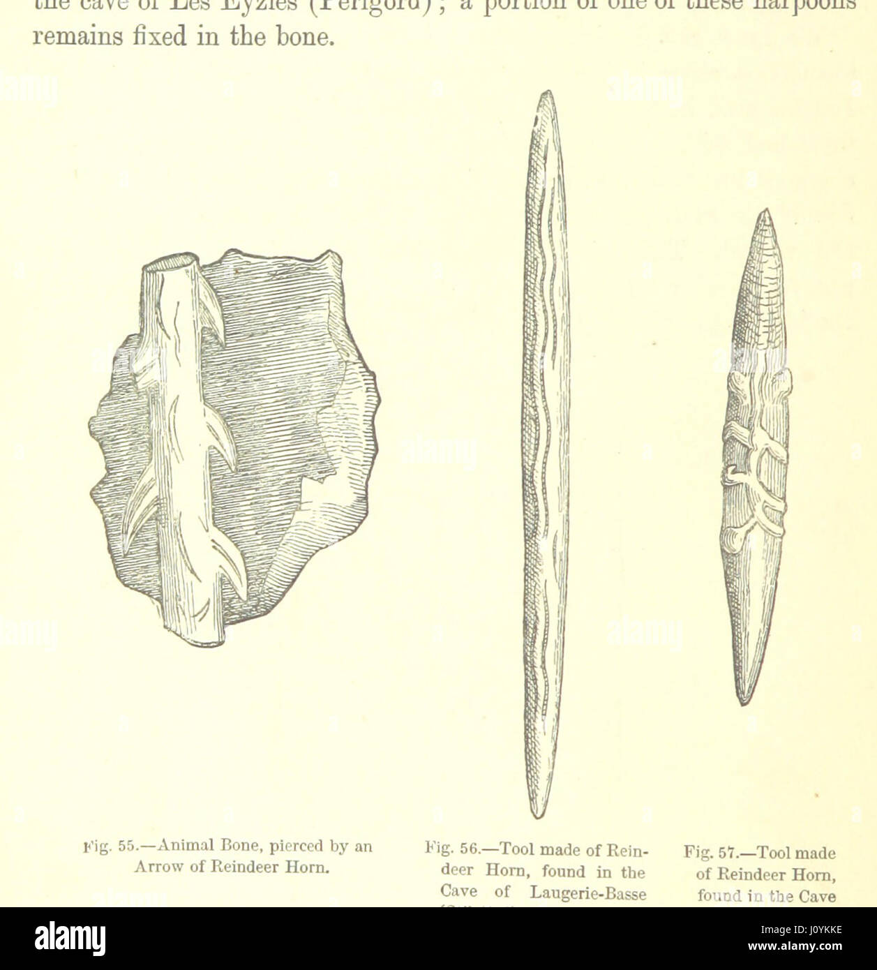 Primitive Man. Revised translation [from the French.] Illustrated with ...