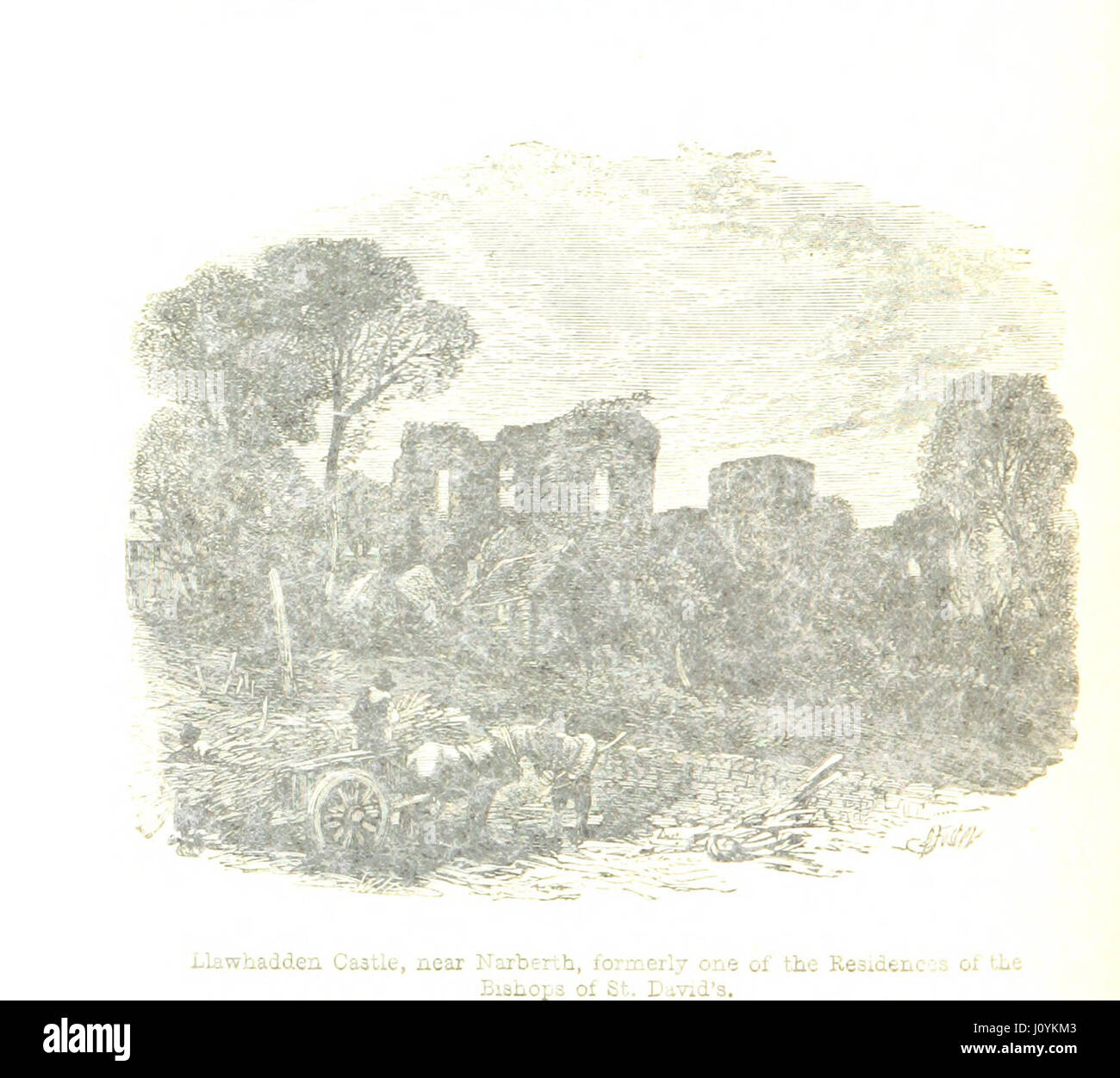 'Tenby' offers a comprehensive exploration of the history, antiquities ...