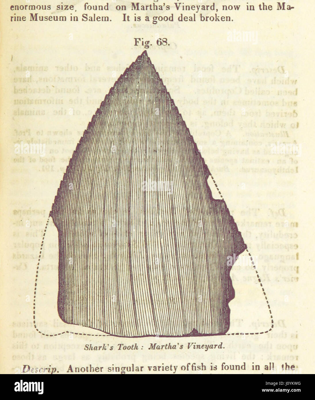 'Elementary Geology' provides an introduction to geological concepts ...