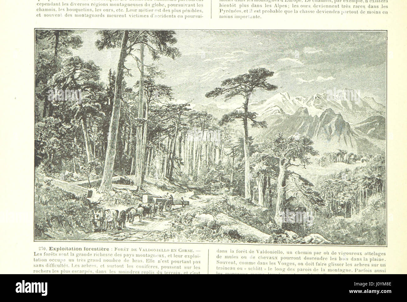 This geographical album features detailed illustrations that offer a ...