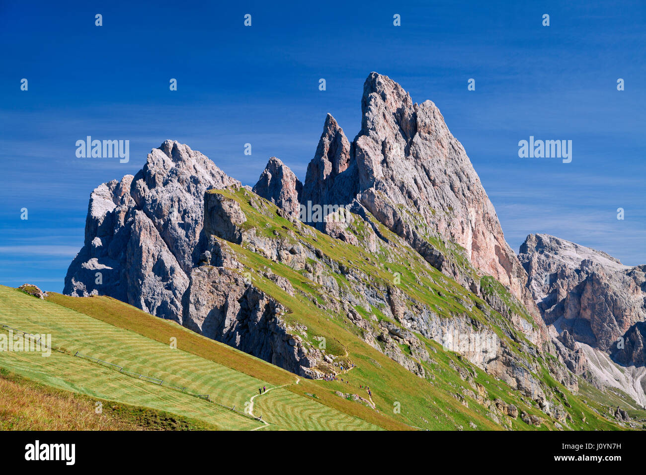 Seceda mountain on a sunny day, Dolomites, Italy Stock Photo - Alamy