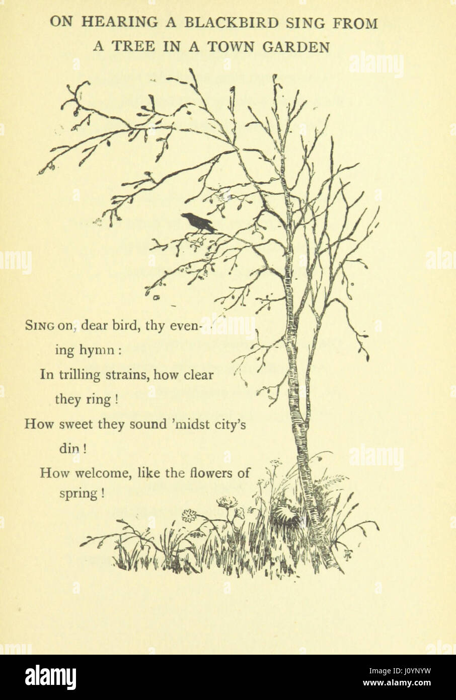 'Rambling Rhymes' is a collection of poems, likely featuring light ...