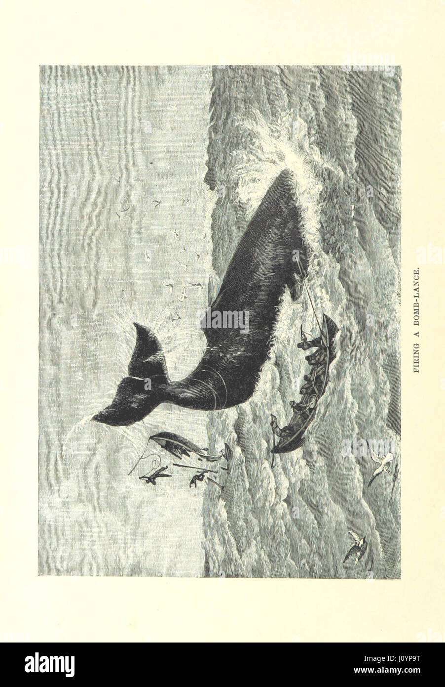 The Cruise of the 'Cachalot' details the journey of a whaling ship on ...