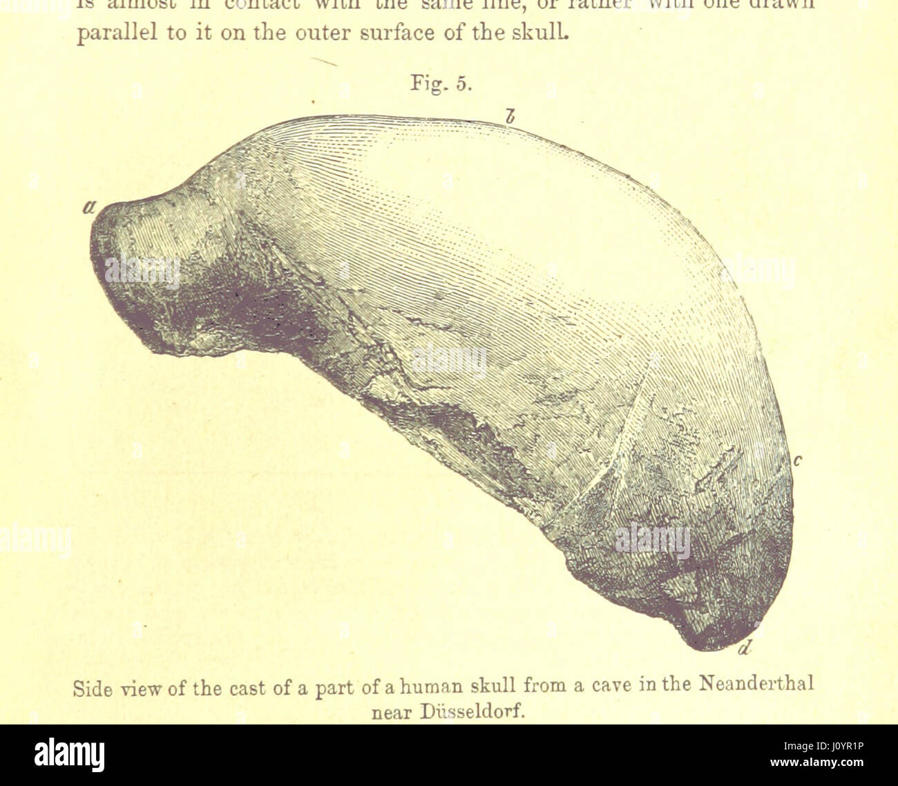 This work provides geological evidence supporting the antiquity of ...