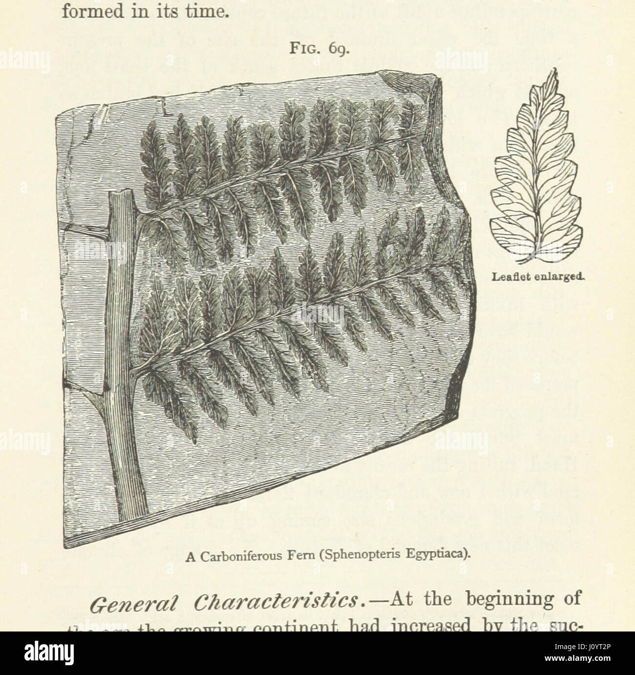 'The Story of the Rocks' is a geological exploration that covers ...