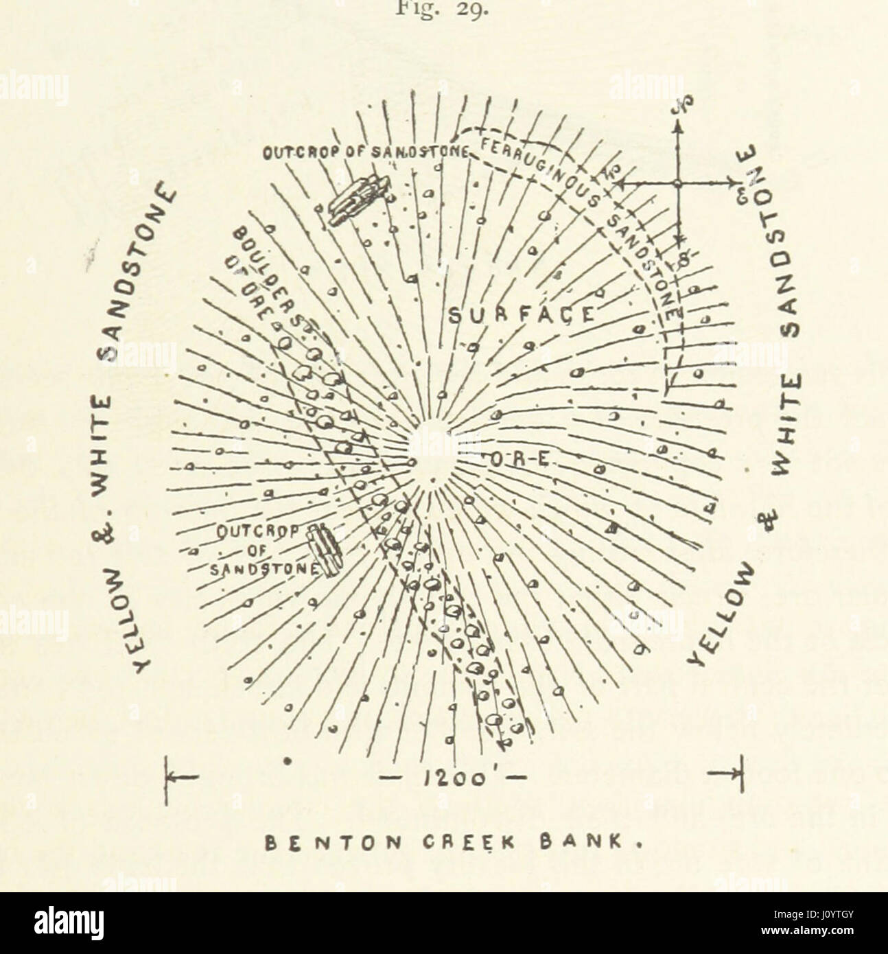 This report provides a detailed examination of iron ores and coal ...