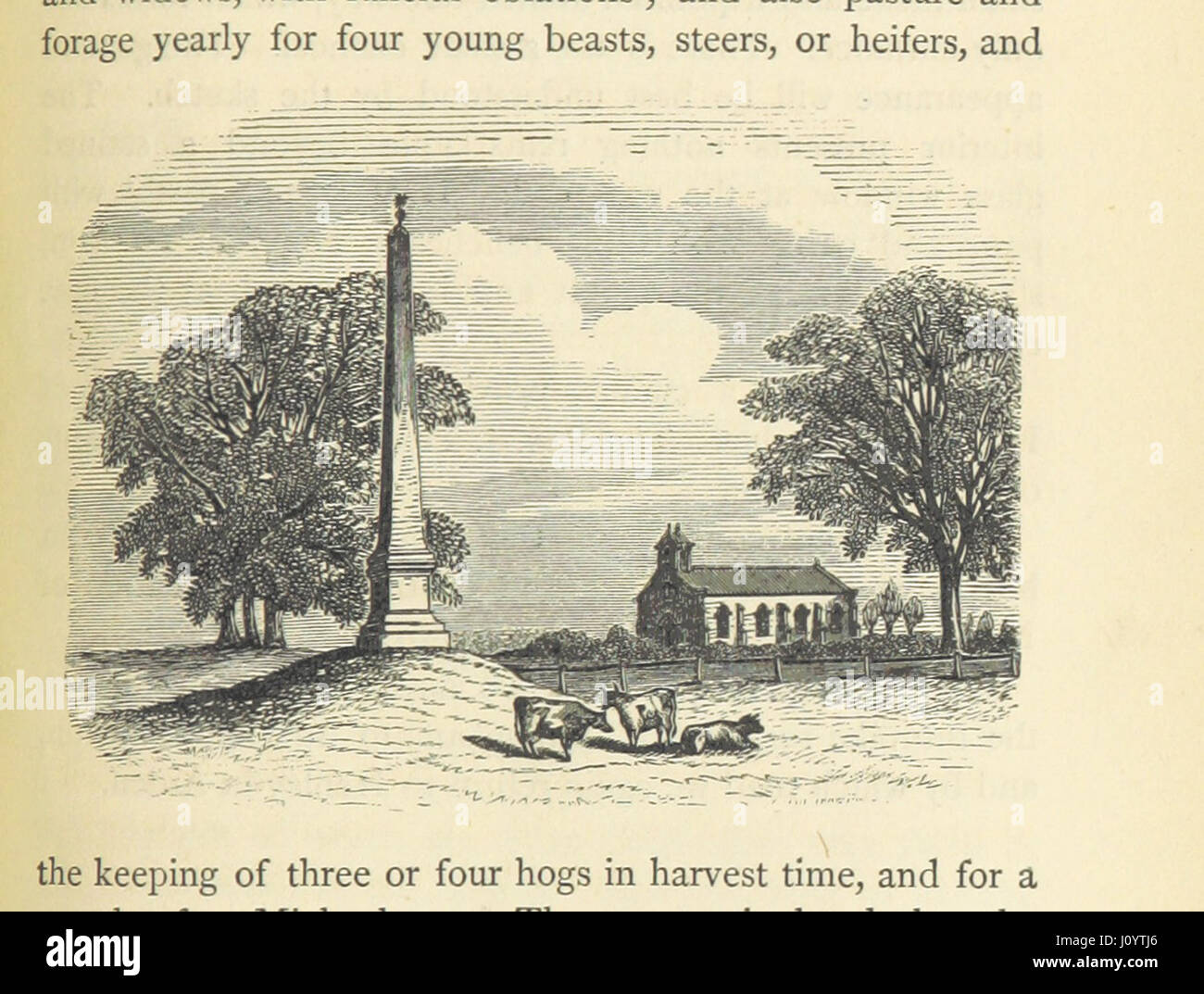 This detailed account provides a topographical and historical ...