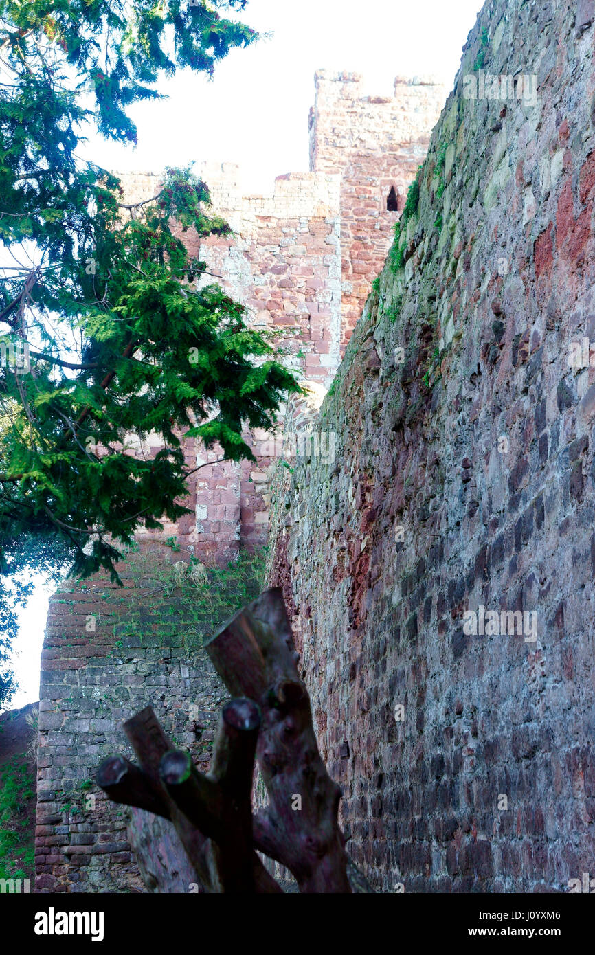 EXETER CASTLE WALLS Stock Photo - Alamy