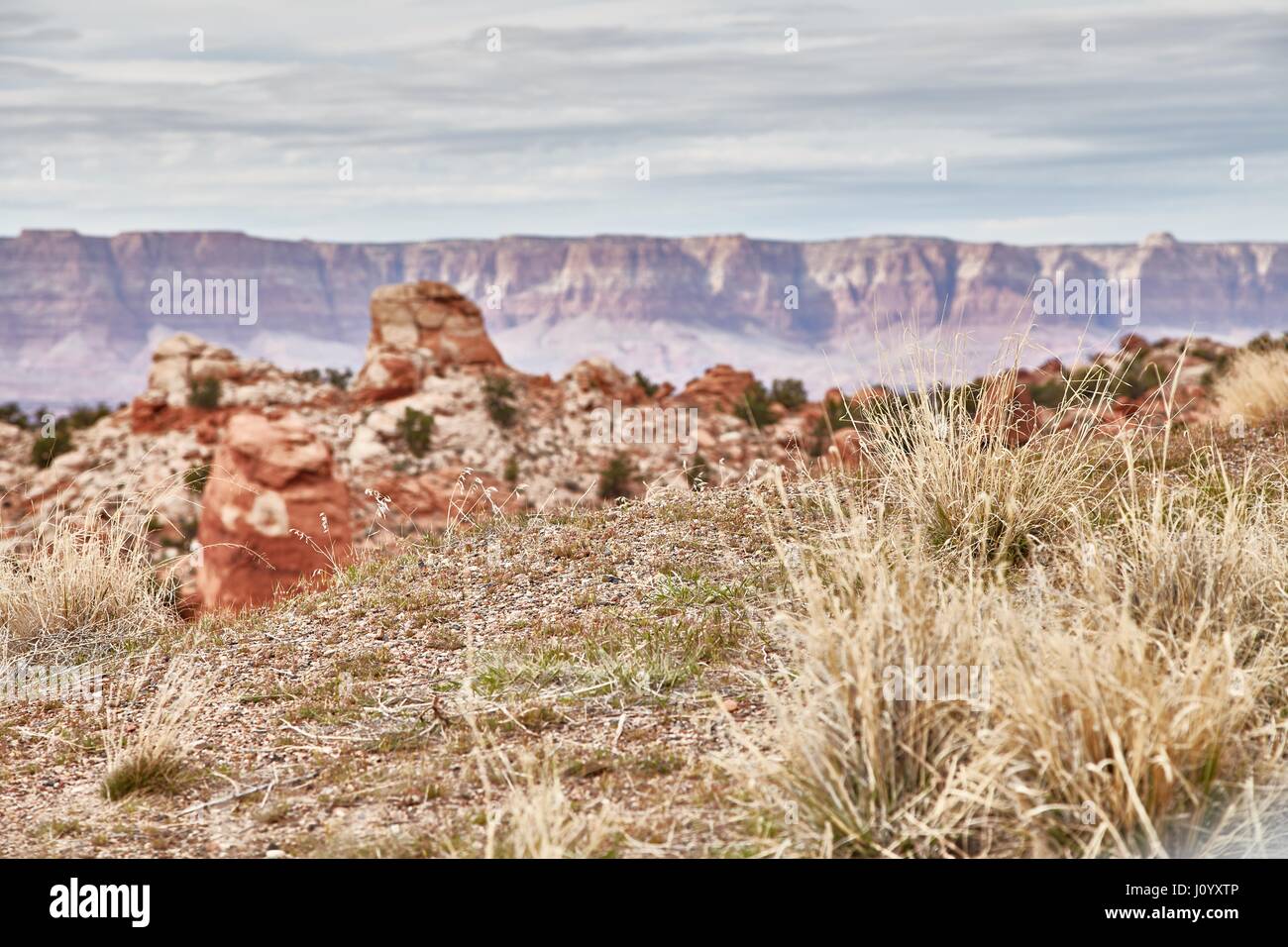 Incredibly beautiful landscape in National Park, Utah Stock Photo - Alamy