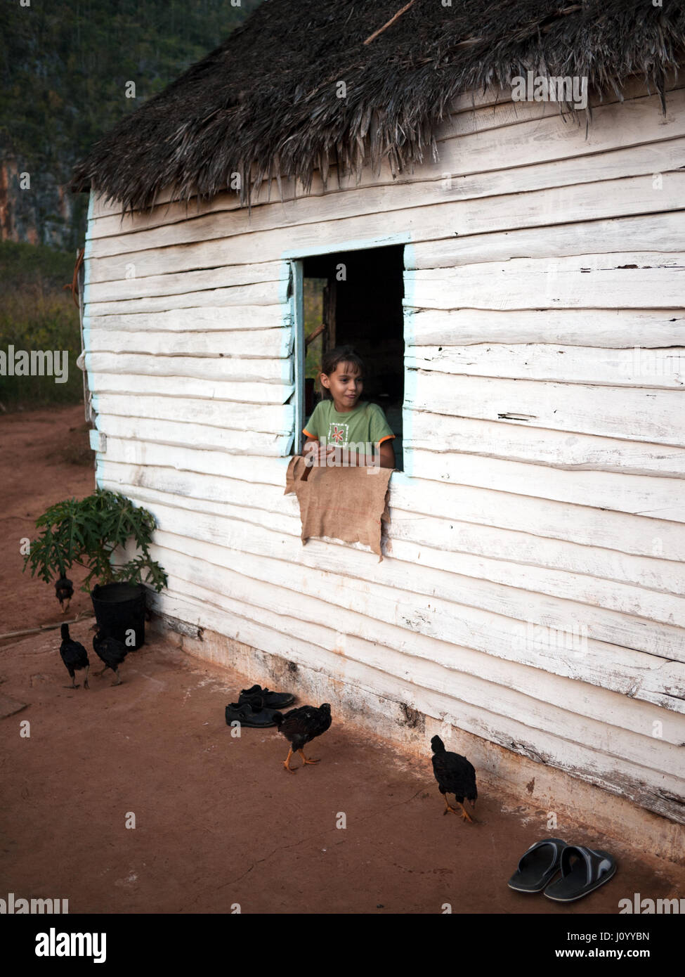 Cuban girl looking out of the window of a wooden house in Trinidad ...
