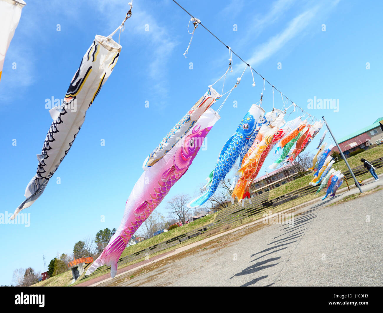 Koinobori, Carp Streamers Stock Photo - Alamy