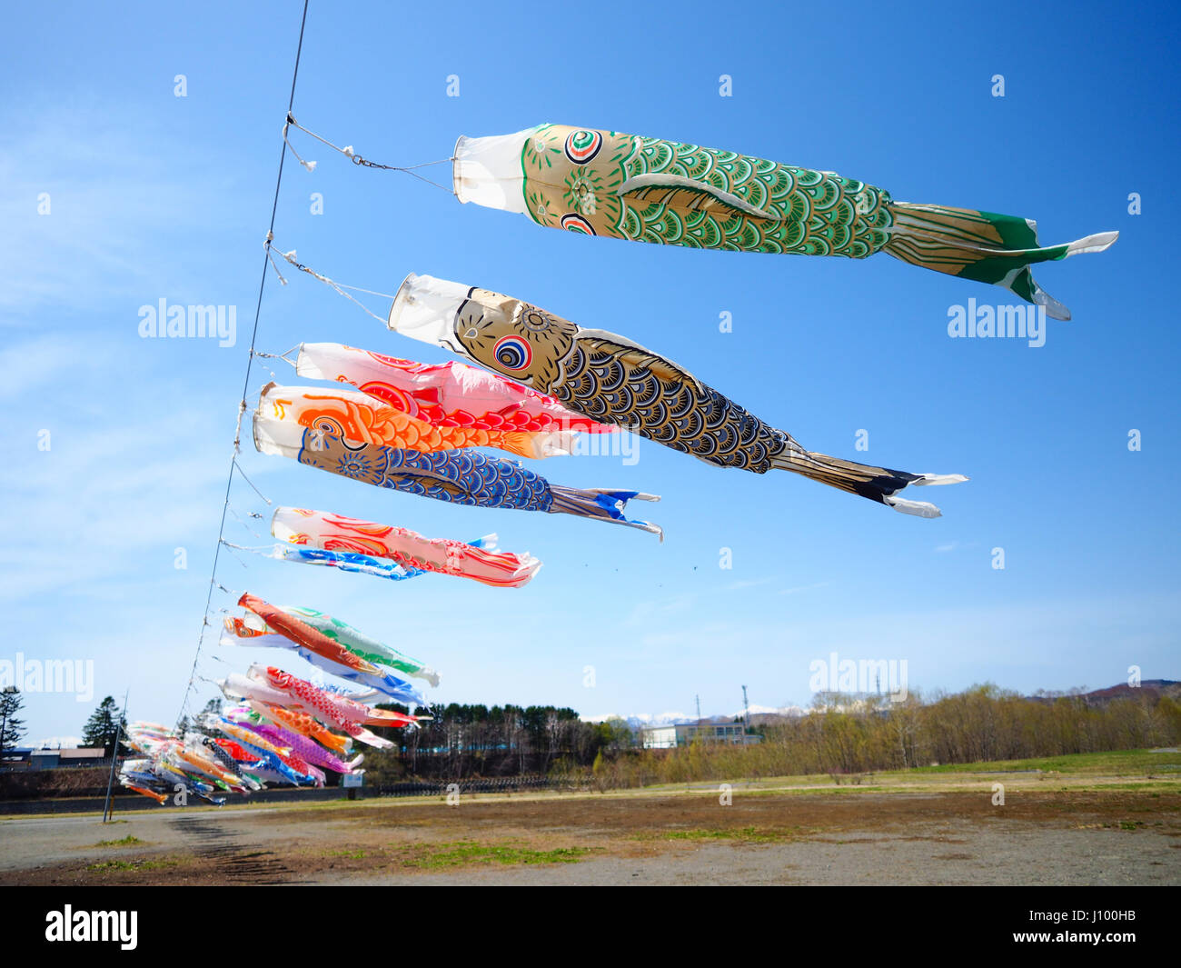 Koinobori, Carp Streamers Stock Photo - Alamy