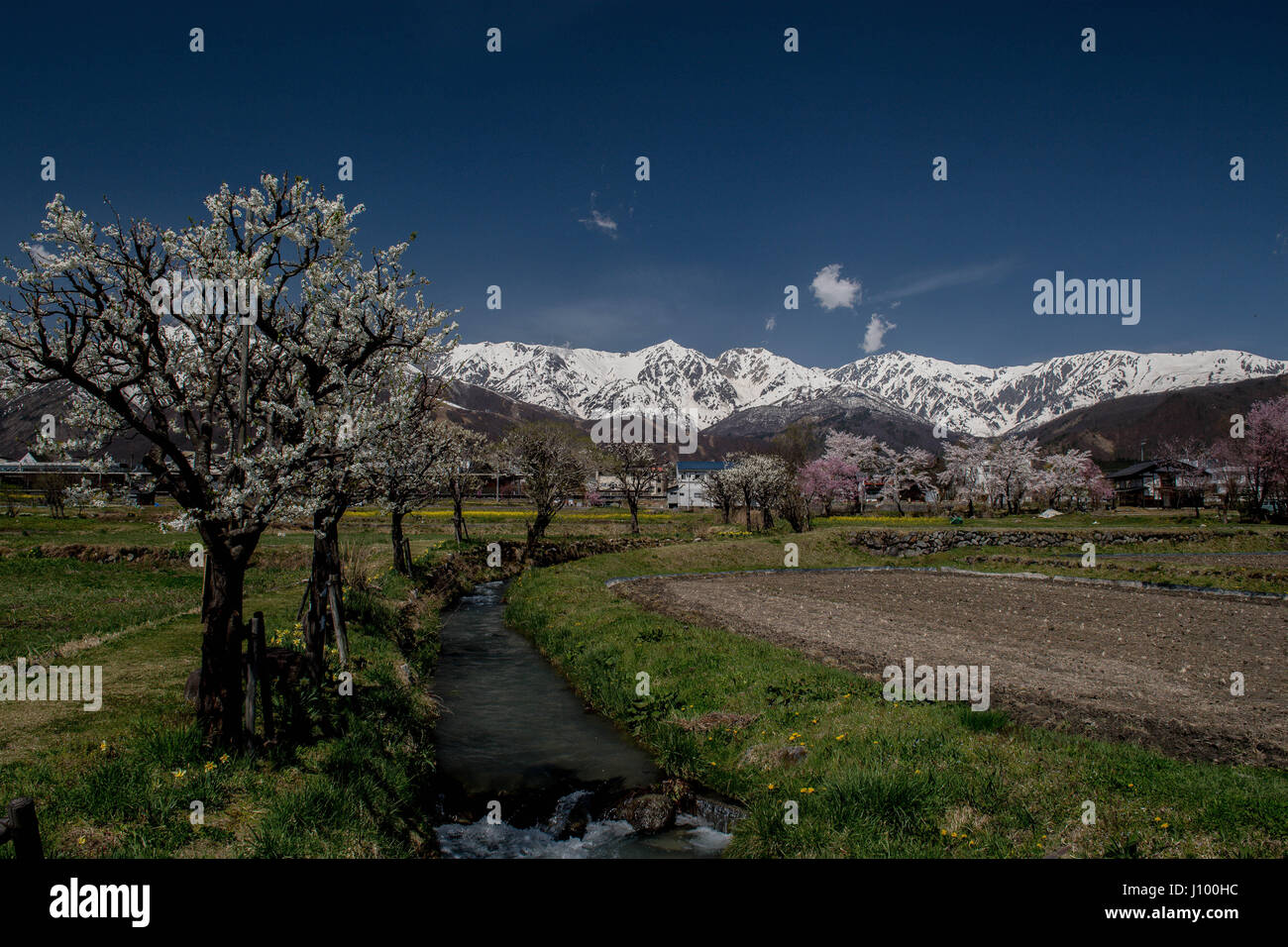 Spring in hakuba hi-res stock photography and images - Alamy