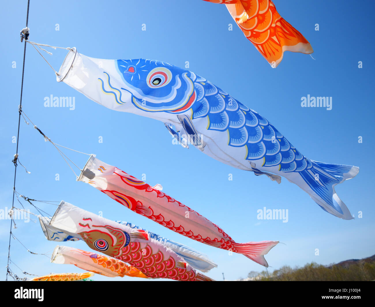 Koinobori, Carp Streamers Stock Photo - Alamy