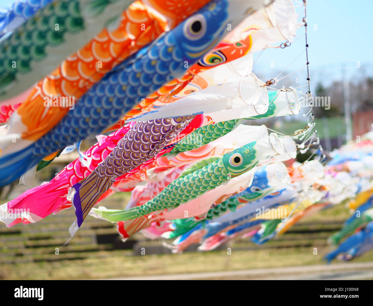 Koinobori, Carp Streamers Stock Photo - Alamy