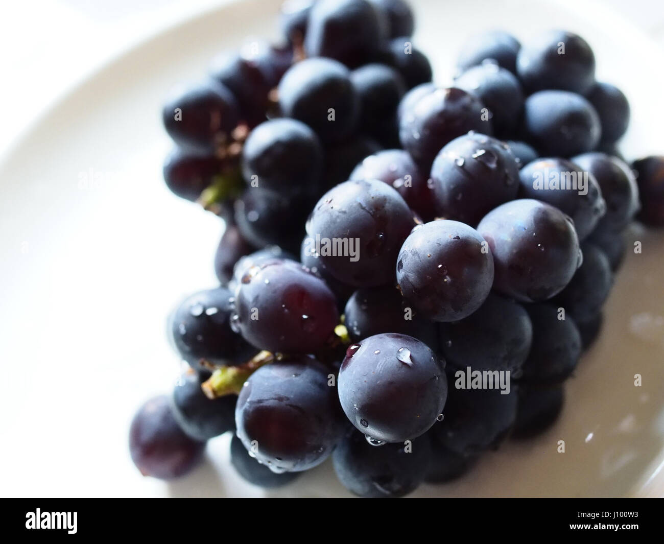 Sour grapes 2016 hi-res stock photography and images - Alamy