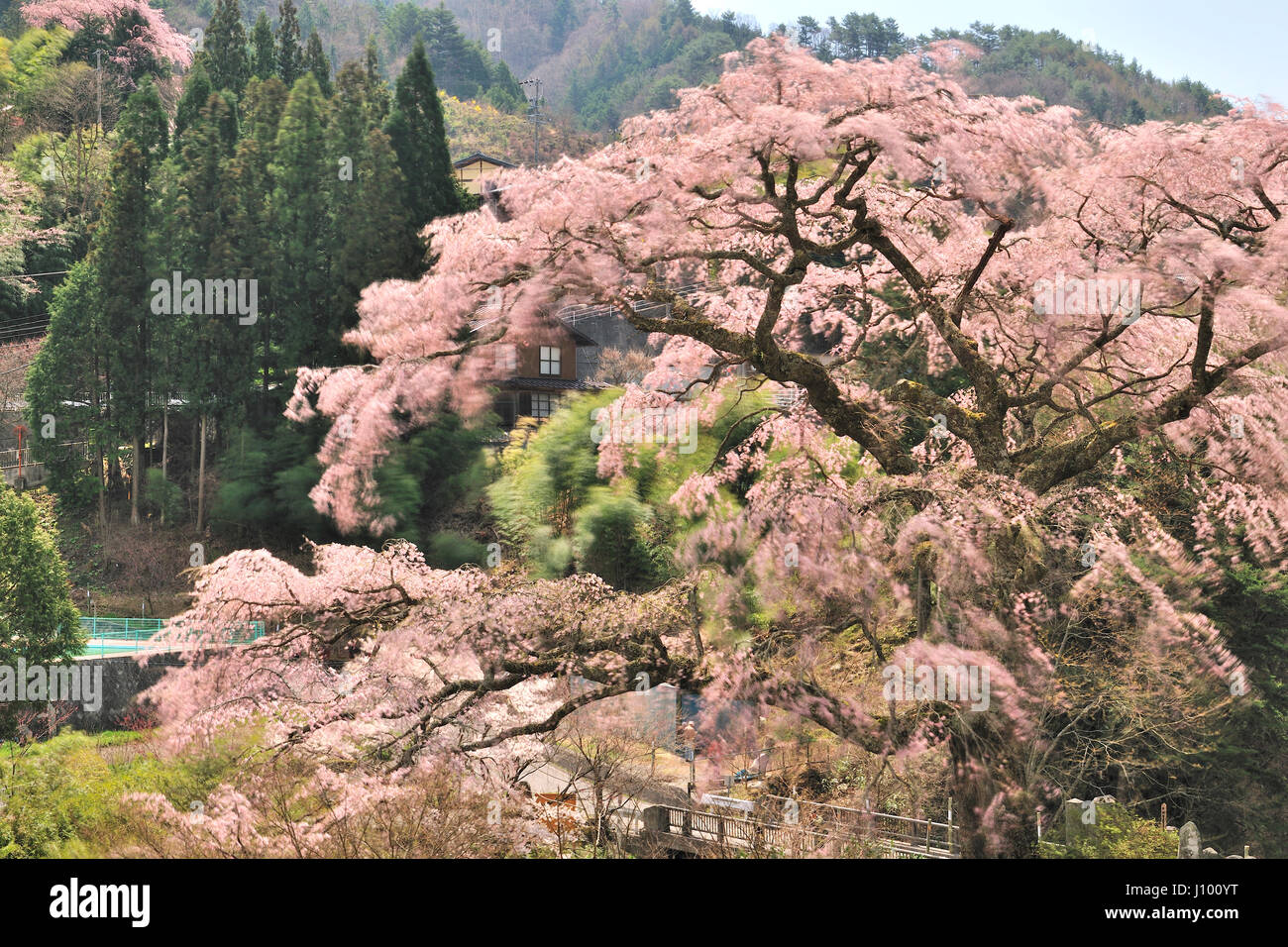 Kurofune hi-res stock photography and images - Alamy