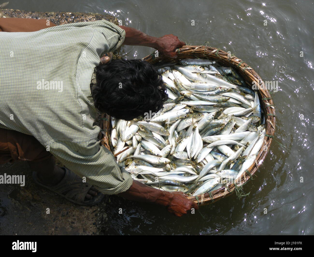 Fish business hi-res stock photography and images - Alamy